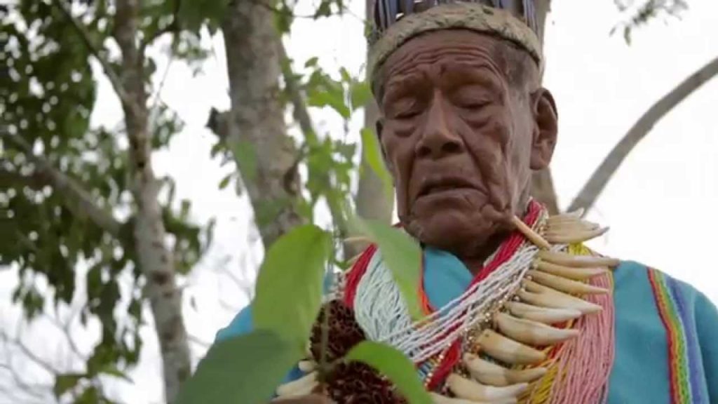 Taitas y autoridades indígenas publican manifiesto contra los ...