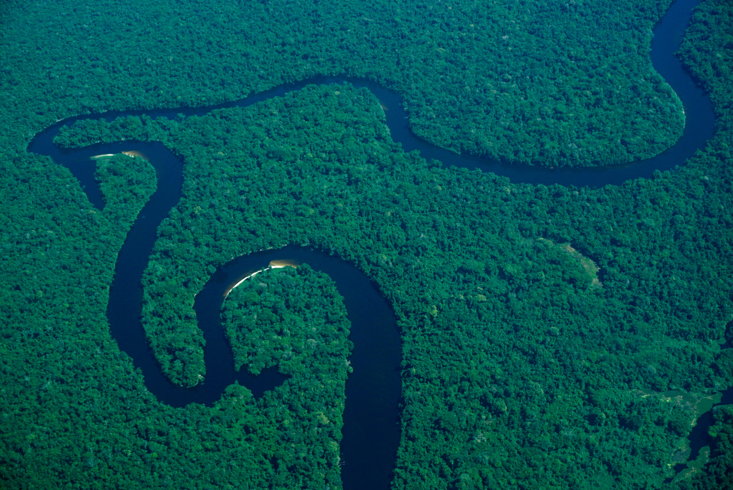 Amazônia tem 10% da biodiversidade do planeta e é peça-chave para ...