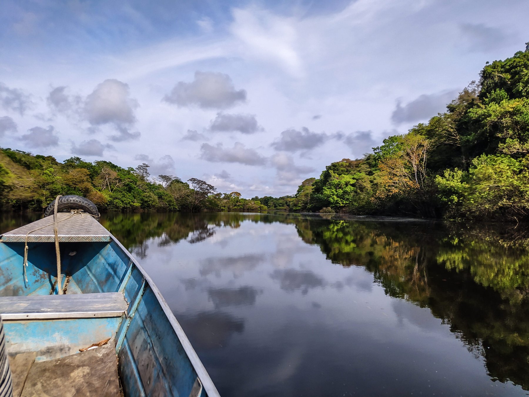 Governo do Amazonas concede licença para madeireiros em terra de povos ...