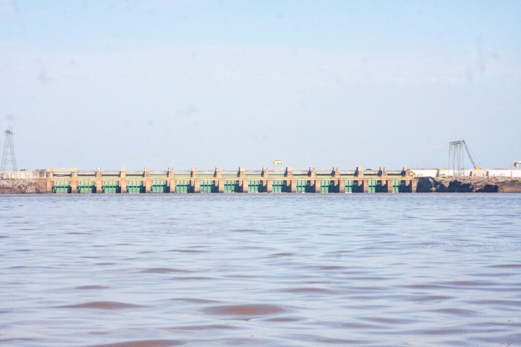 A morte silenciosa do rio Madeira - InfoAmazonia