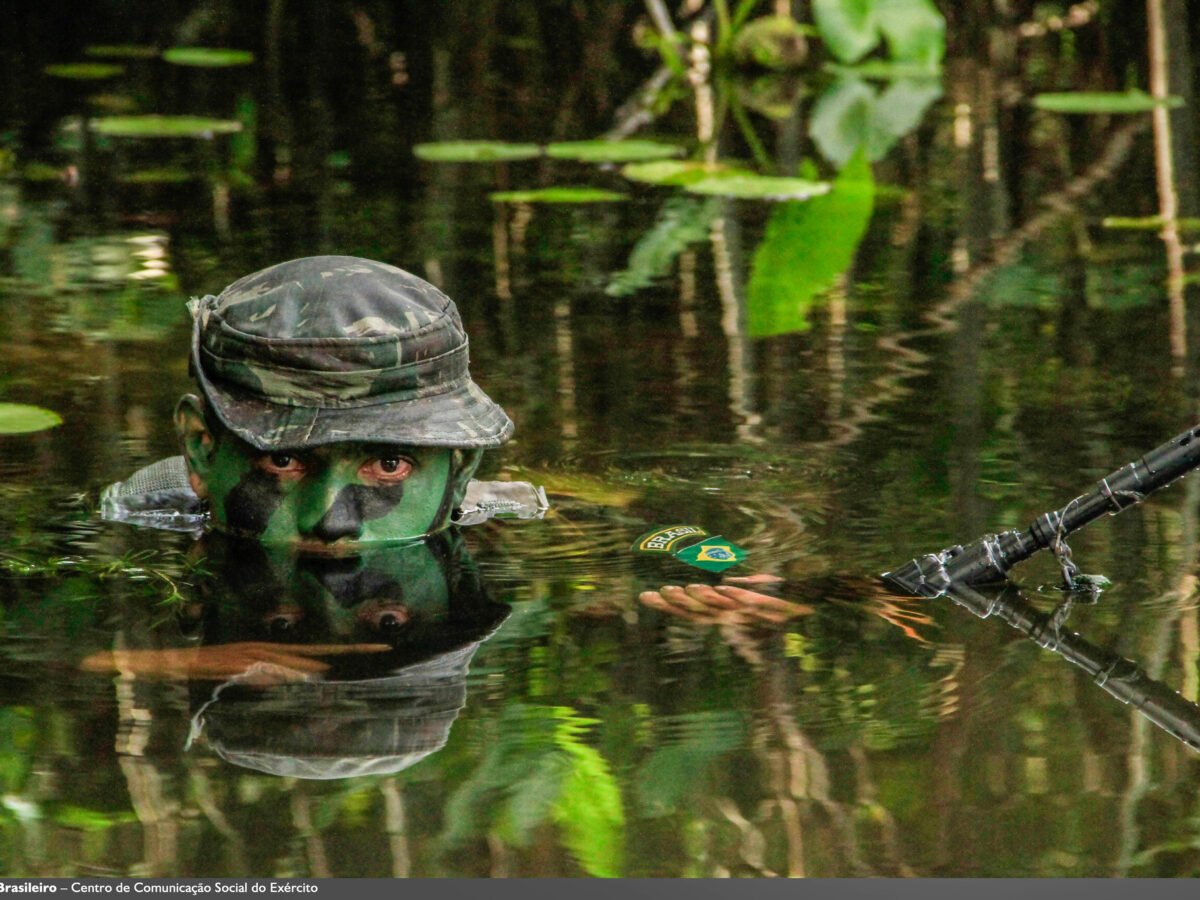 Arquivos de Calha Norte - InfoAmazonia