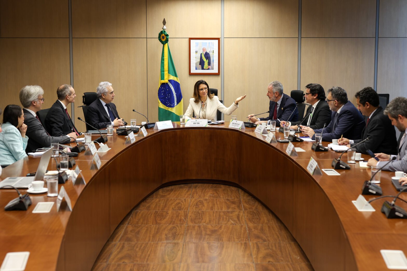 Ana Toni: 'o problema é global, mas as soluções são locais'