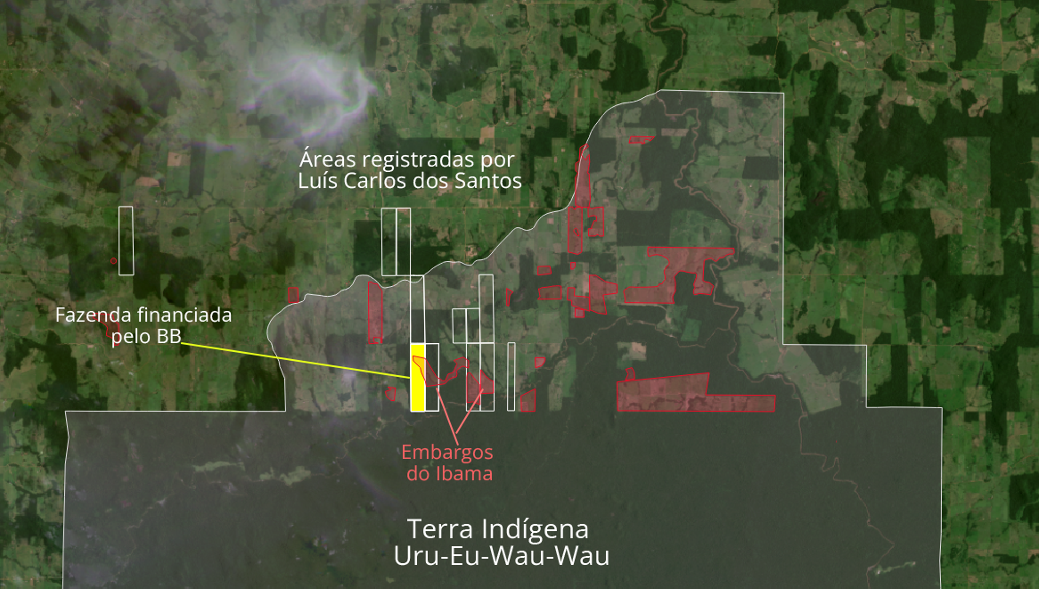 Banco do Brasil financiou criação de gado na TI Uru-Eu-Wau-Wau