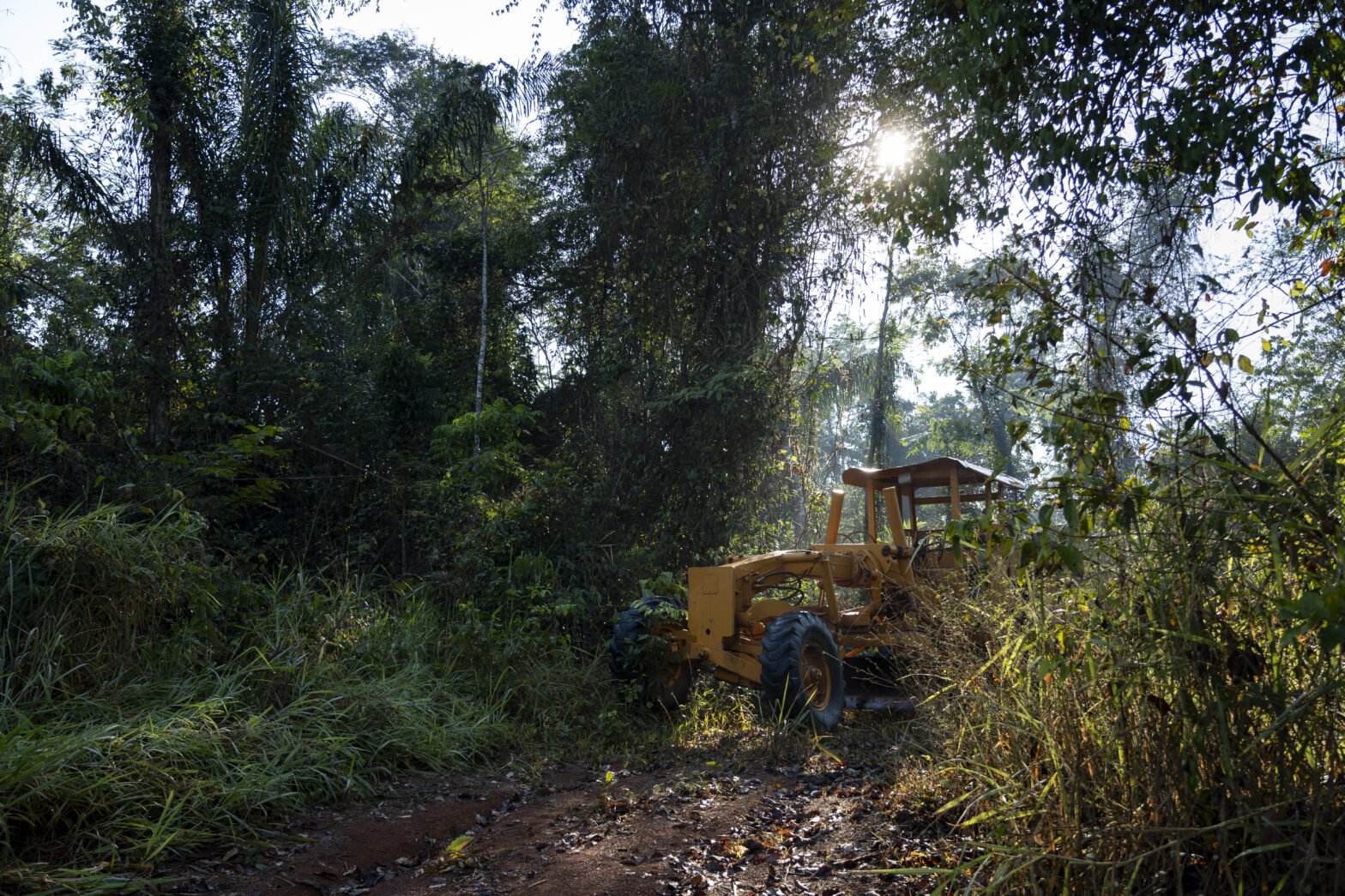 Grandes marcas compram créditos de carbono de esquema suspeito de ...