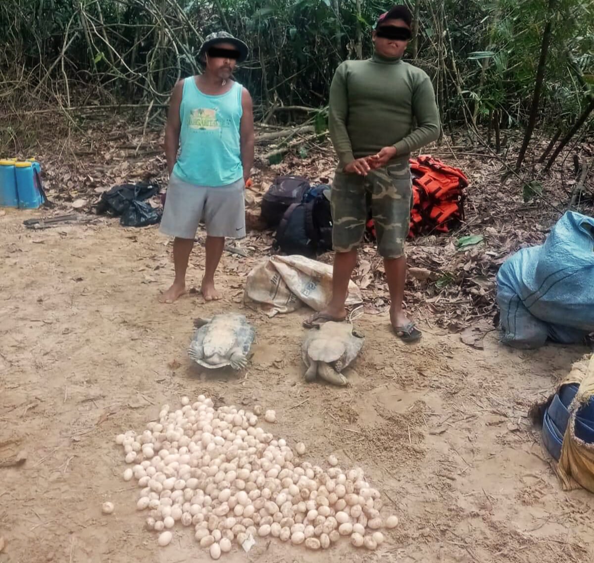 In the footsteps of turtle and egg smugglers in Bolivia’s Amazon Forest ...