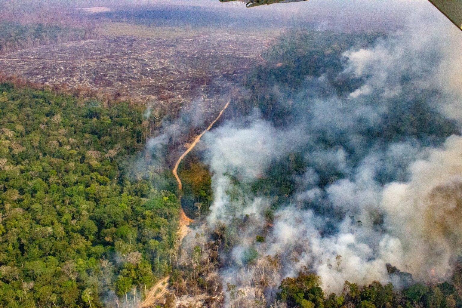 At COP30, Researchers Call for Expansion of Brazil’s Zero Deforestation ...